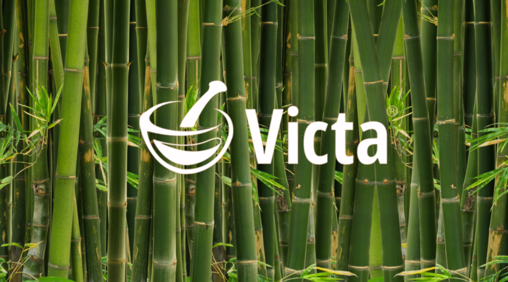 Plant C Bamboo - Victa Lab